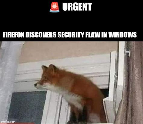 Firefox Windows Memes