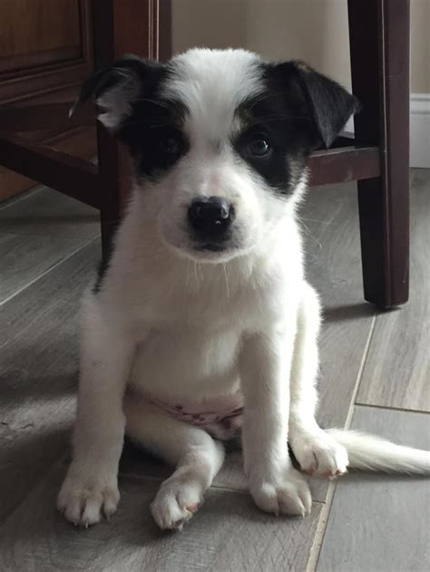 Brandon Schaaf On Linkedin Need Help Naming Our New Employee Whatcha Got We Will Even Send