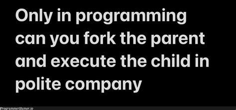 Pun ProgrammerHumor Io