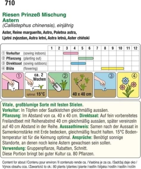 Austrosaat Asters Giant Princess Misc Mix 1 Package Bloomling