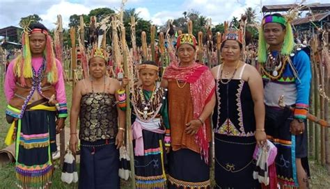 The Importance Of Culture For The Dayak Wehea Tribe Save The Orangutan