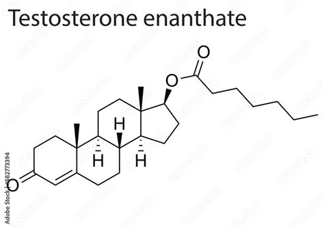 Testosterone Structure