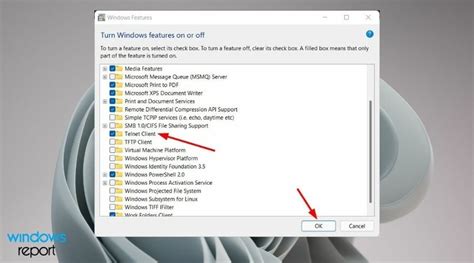 How To Enable Telnet In Windows 11