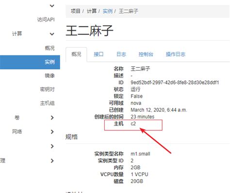 Openstack实例控制台报错：failed To Connect To Server Code：1006failed To Connect To Server Code 1006