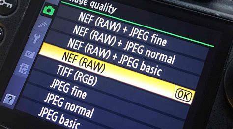 What Are File Format Babe Of Photography Singapore