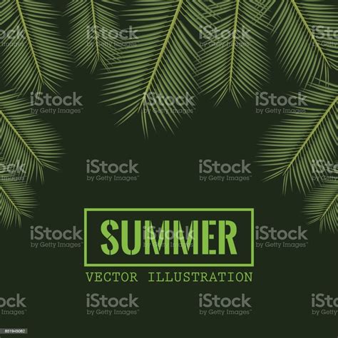 측면 테두리 장식 종 려 잎 및 여름 텍스트와 직사각형 프레임 녹색 배경 0명에 대한 스톡 벡터 아트 및 기타 이미지 0명 가장자리 계절 Istock