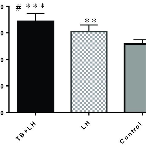 The Concentration Of Interferon Gamma Ifn γ In The Supernatants Download Scientific Diagram