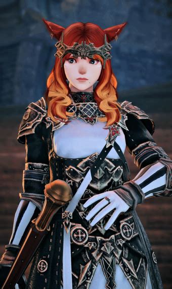 Bronze Eorzea Collection
