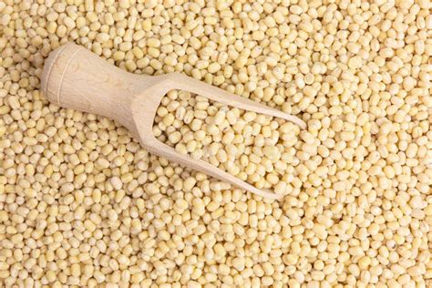 Urad dal stock image. Image of vegan, wooden, lentil - 214642889