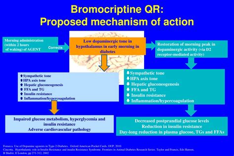 Ppt Bromocriptine Qr Powerpoint Presentation Free Download Id 9490742
