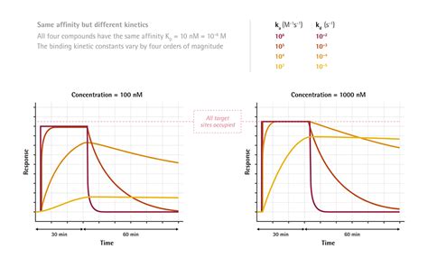 Xantec Bioanalytics Gmbh Whitepapers Literature Whitepapers Kinetics Or The Importance
