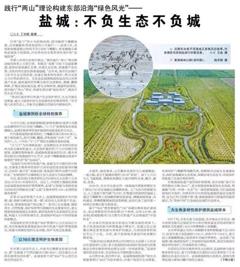 中国新闻奖自荐参评作品公示 盐城新闻网