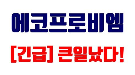 에코프로비엠 앞으로의 주가전망 이 영상 하나로 해결하세요 Youtube