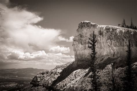 Grayscale Vs Black And White Vs Monochrome The Difference Explained
