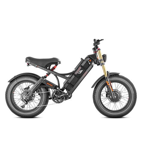 Long Range Ebike Electric Bike 1000w Eahora Juliet