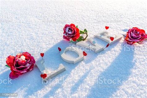 고립 된 단어의 근접 촬영 사랑 눈에서 나무에서와 레드 심장 장식 장미 주위 흰색 배경으로 맑은 겨울 날에개념의 사랑 행복과