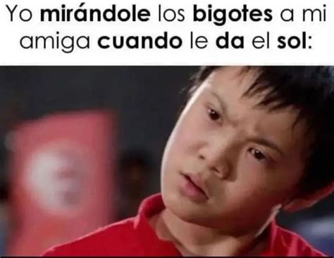 Le Muestro Un Meme A Mi Mamá Mi Mamá Me Rió Memes