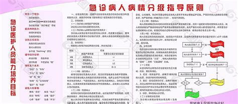 急诊病人病情分级指导图片平面广告素材免费下载 图片编号 3662898 六图网