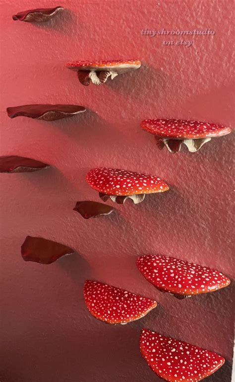 Handmade Floating Mushroom Shelf Decor Cottagecore Aesthetic
