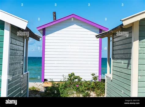 Colourful Windswept Wooden Bathing Huts In The Sand Dunes On The Beach