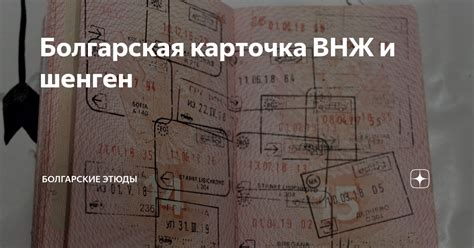 Болгарская карточка ВНЖ и шенген Болгарские этюды Дзен