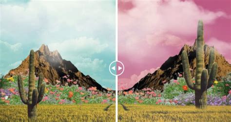 The Art Of Color Correction Expert Tips From Pixlr Masters Pixlr Blog