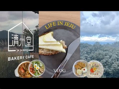 jeju vlog 제주에서 연말 함박스테이크 만들기 첫 도전 임산부 식단 괸당집 연월 보말이네 송악산 둘레길