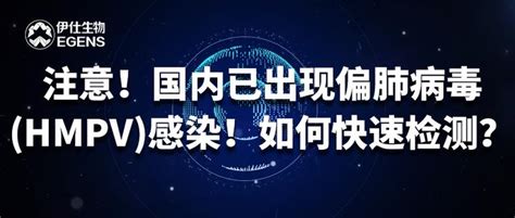 注意！国内已出现偏肺病毒hmpv感染！如何快速检测？ 知乎
