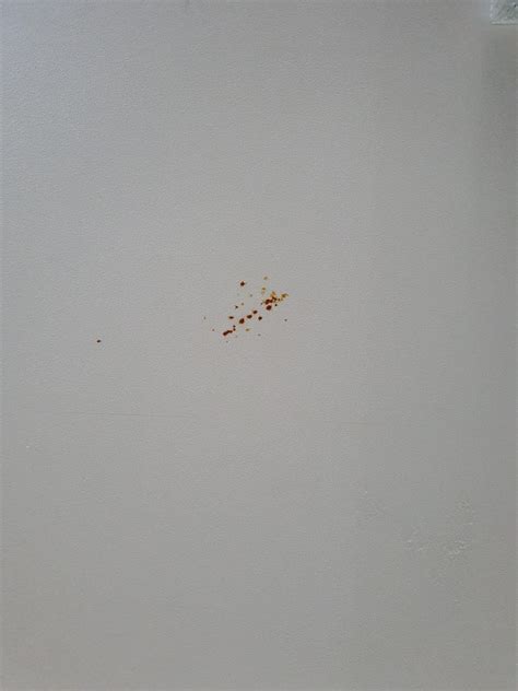벽지에 묻은 것 지우기 지식in