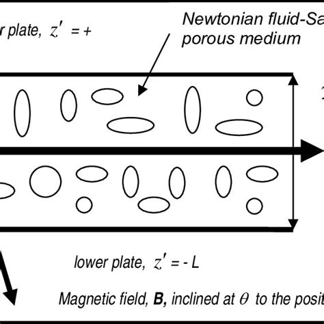 Physical Regime And Coordinate System Download Scientific Diagram