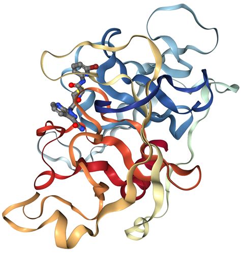 Factor D Protein Overview Sino Biological