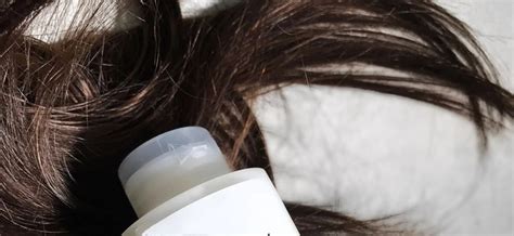 Top 6 Best Products For Frizzy Hair In 2024 Reviewed And Tested