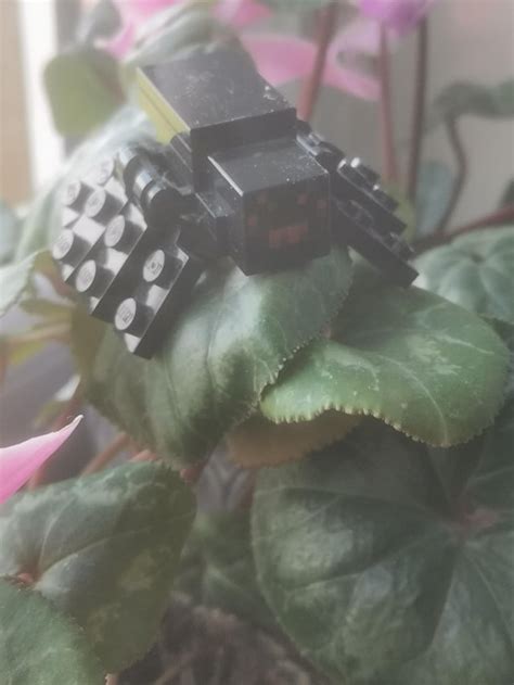 Ultimate Bug Rwhatsthisbug