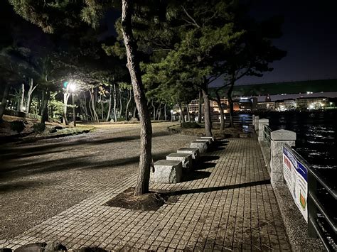 魅惑のメバリング！強風の横浜 八景島横浜南公園。潮が交差するところを攻める！！ 元塾長の白米