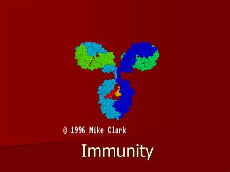 Specific And Non Specific Immune Responses Pptx