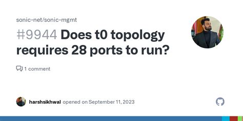 Does T0 Topology Requires 28 Ports To Run · Issue 9944 · Sonic Net