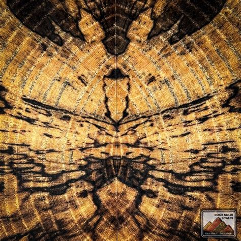 Private Reserve Spalted Hackberry Rocksolid Scales