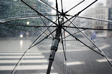 Essential Guide How To Stop Forgetting Your Umbrella A Life Of Lovely