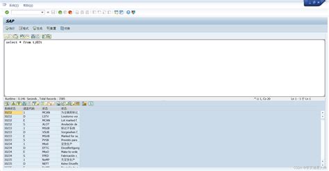 ABAP SQL语句查询程序开箱即用 使用abap创建一个查询程序 CSDN博客
