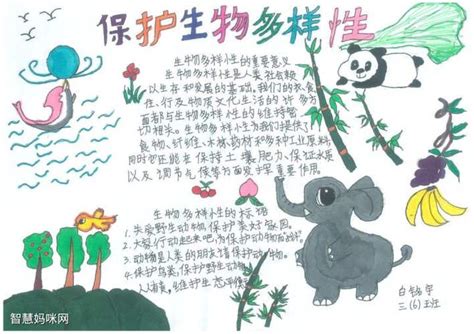保护生物多样性共建命运共同体手抄报 生物手抄报 普车都