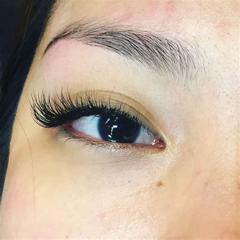 Feline Flare Lash Extensions Flared Lashes Perfect Eyelashes Lashes