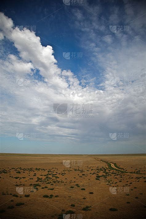 在草原的天空
