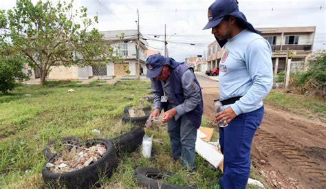 Cuidados Com A Dengue Devem Ser Redobrados Nos Dias Quentes