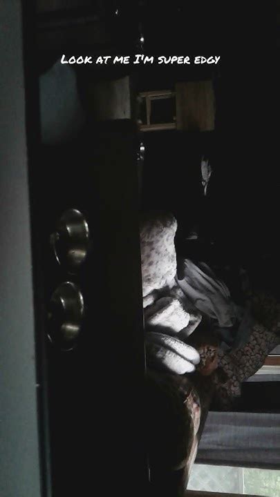 Why Is Youthberk So Edgy Youtube