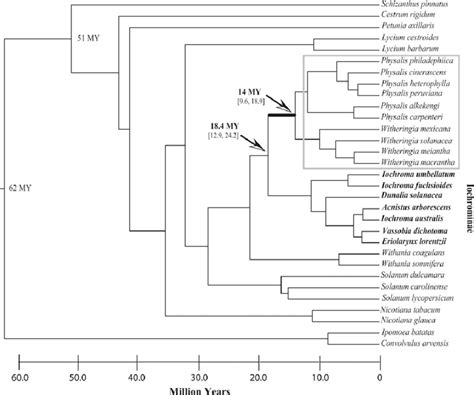 —bayesian Consensus Species Phylogeny And Divergence Time Estimates Of Download Scientific