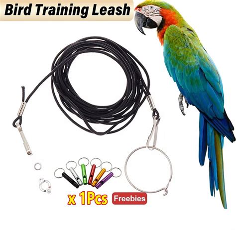 5ft Flexible Bird Flight Leash With Training Ring Bird Leash With