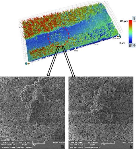 3d Optical Image Of The Droplet Path And Sem Micrographs Of Dust Download Scientific Diagram