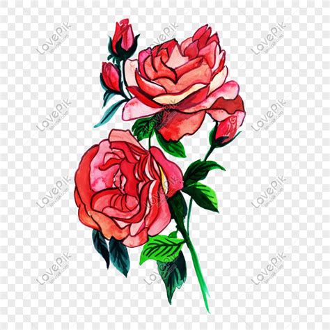 Detail Mawar Vector Png Koleksi Nomer 20