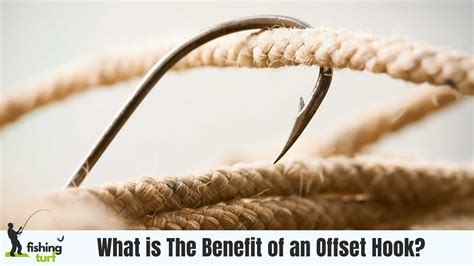 What Is The Benefit Of An Offset Hook