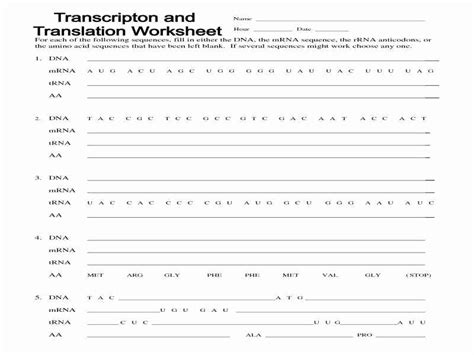 50 Dna Transcription And Translation Worksheet Chessmuseum Template